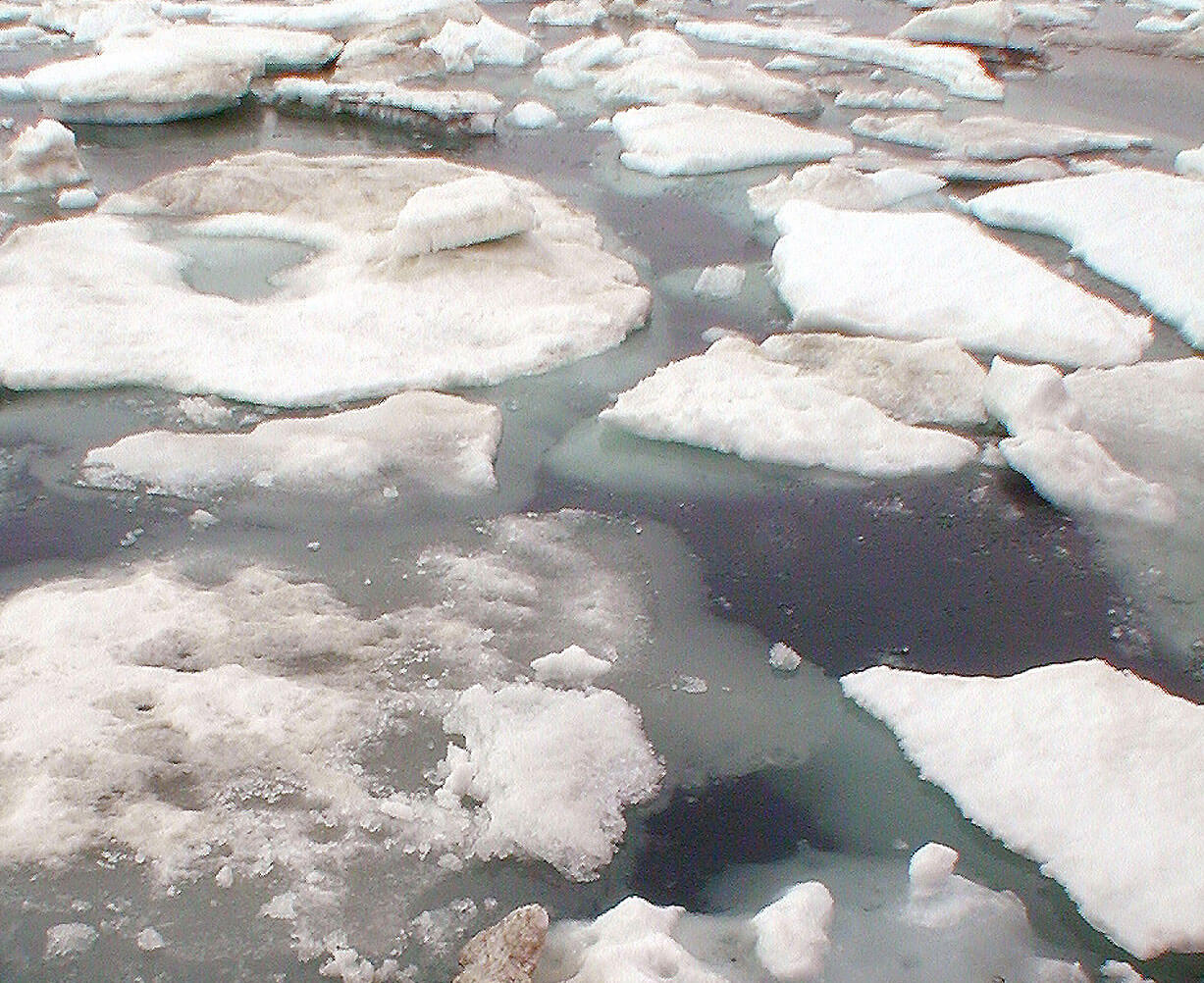 Kuskokwim affiora ghiaccio rapidly rising ice tide | Katarte